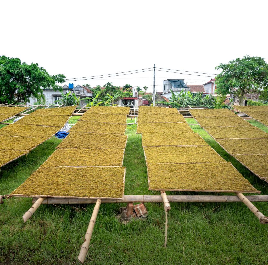 Technologies - Innopolis